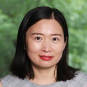 Jing Wang Profile | University of Sussex
